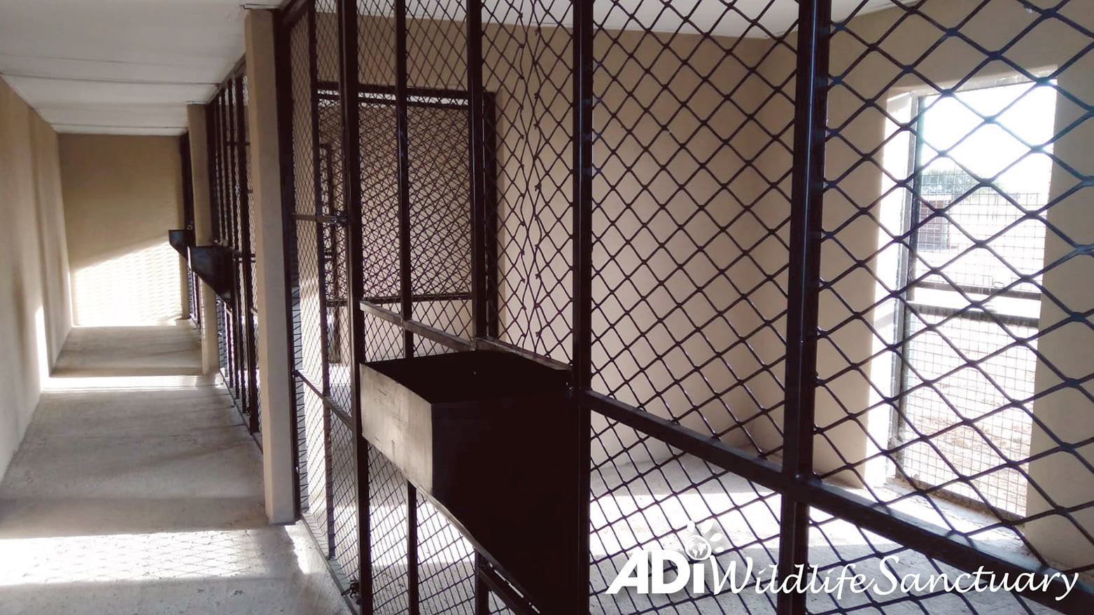 Help complete Itza’s tiger house for Father’s Day | ADI Wildlife Sanctuary