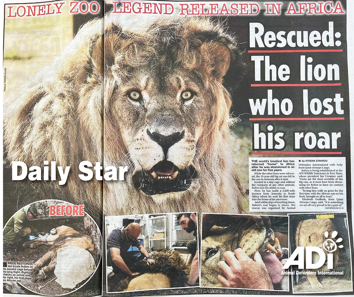 Ruben rescue turns spotlight on lonely captive animals | ADI Wildlife ...