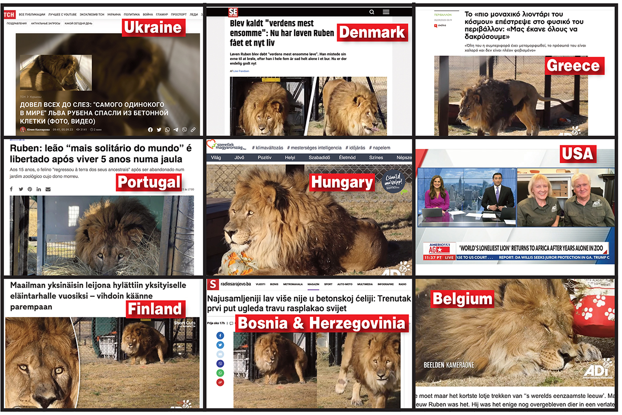 Ruben rescue turns spotlight on lonely captive animals | ADI Wildlife ...