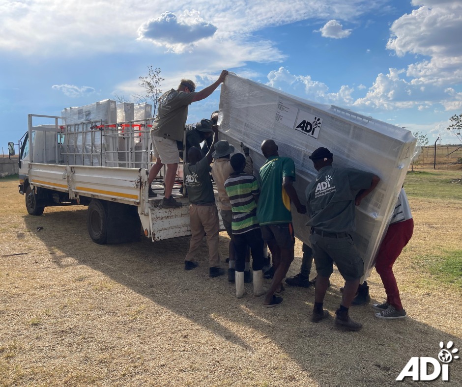 Kuwait rescue update | ADI Wildlife Sanctuary